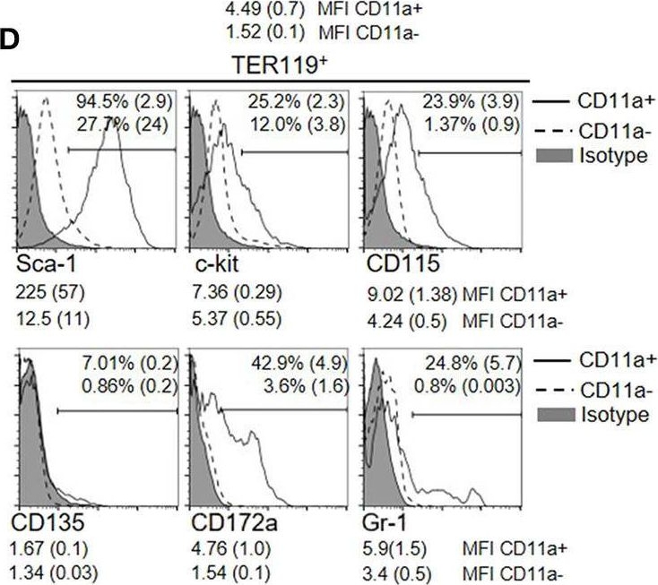 CSF1R antibodies - Antibody search engine - CiteAb