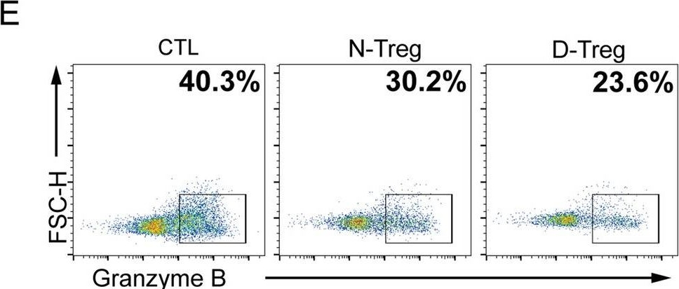 GZMB antibodies - Antibody search engine - CiteAb