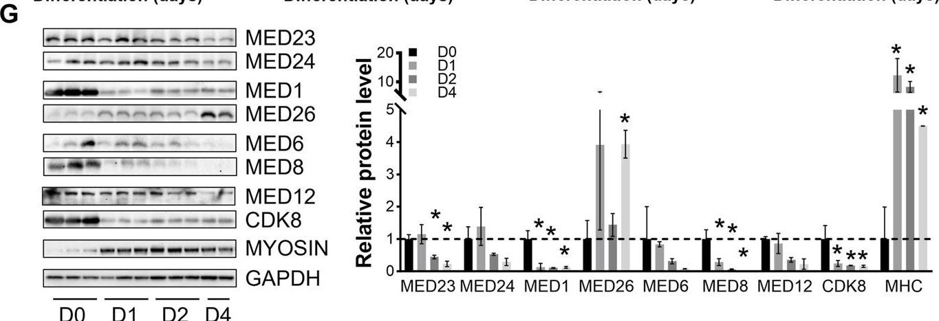 med6 antibodies - Antibody search engine - CiteAb