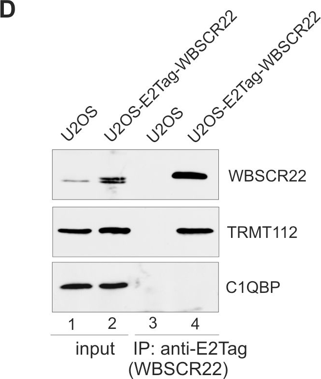 HABP antibodies - Antibody search engine - CiteAb
