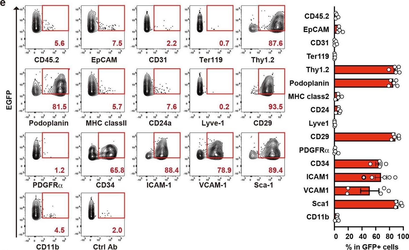 CD31 antibodies - Antibody search engine - CiteAb