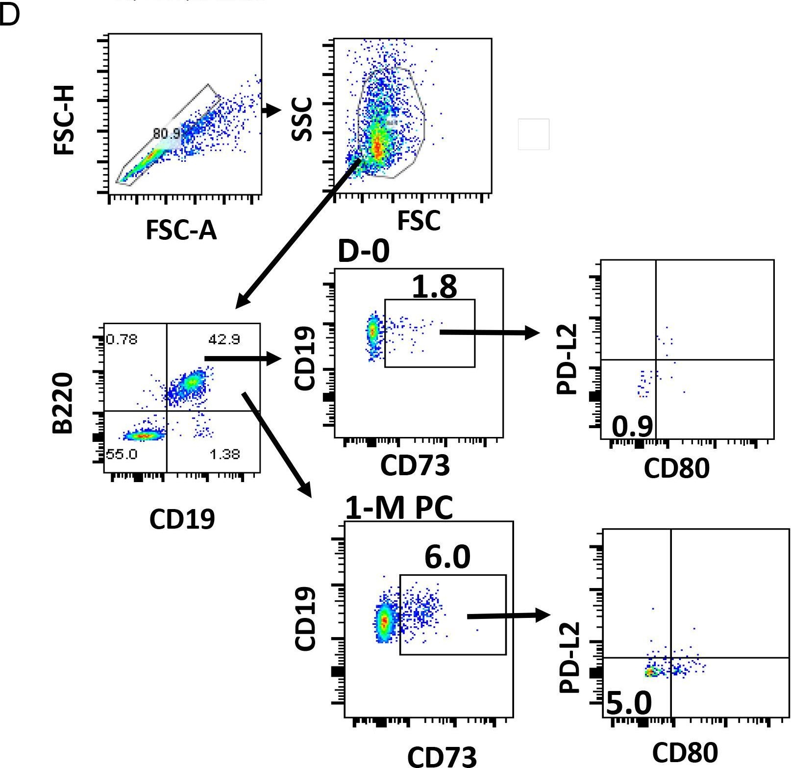 CD19 antibodies - Antibody search engine - CiteAb