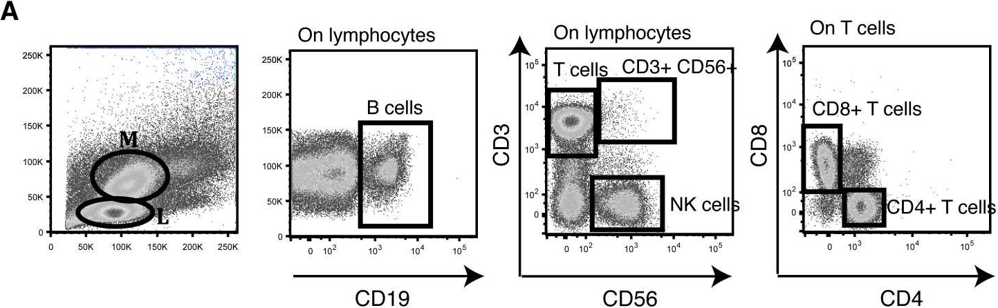 Ncam1 antibodies - Antibody search engine - CiteAb