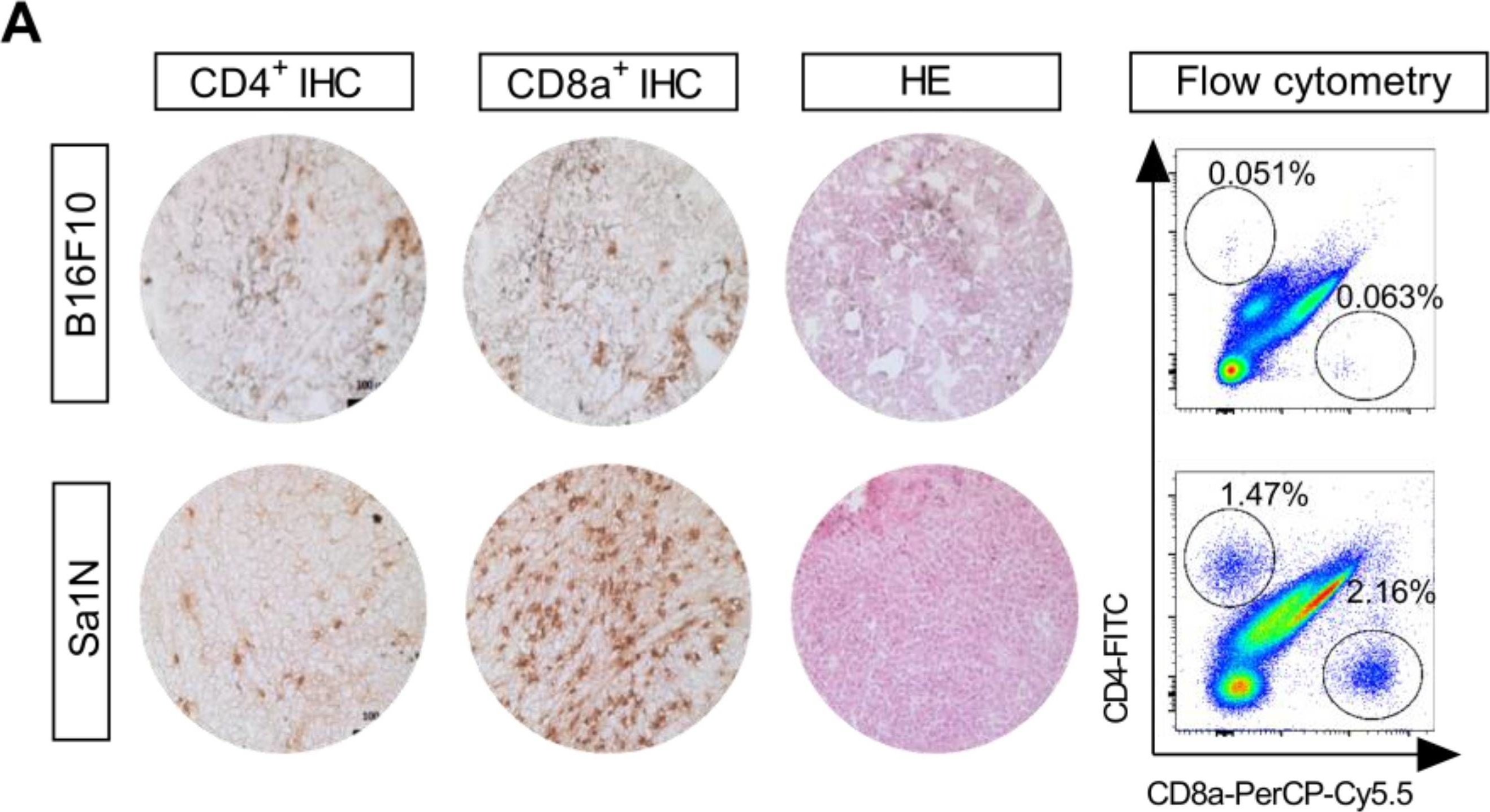 CD4 antibodies - Antibody search engine - CiteAb
