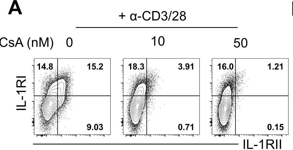 IL1R2 antibodies - Antibody search engine - CiteAb
