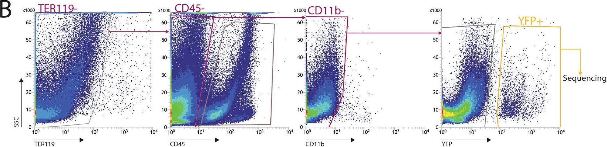 CD11B antibodies - Antibody search engine - CiteAb