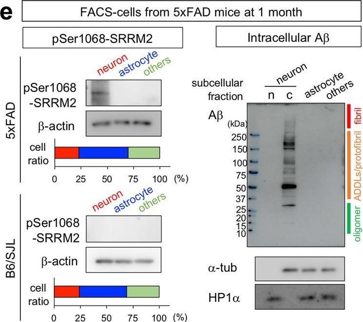 SRRM2 antibodies - Antibody search engine - CiteAb