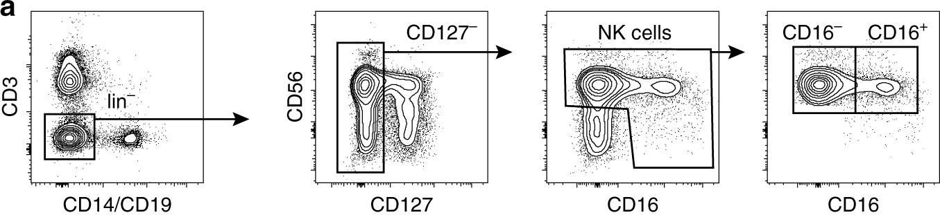 CD14 antibodies - Antibody search engine - CiteAb