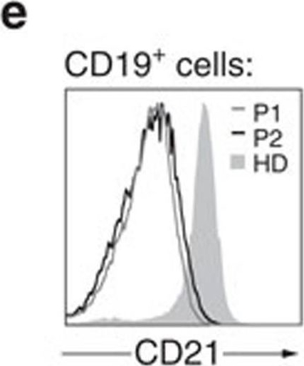 cd21 antibodies - Antibody search engine - CiteAb