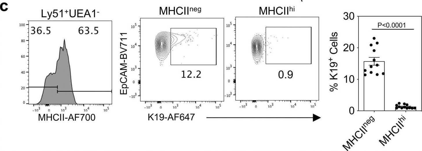 H2-Eb1 antibodies - Antibody search engine - CiteAb
