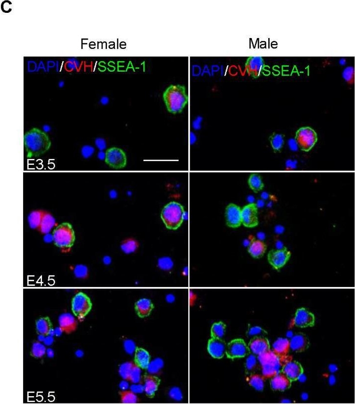 CD15 antibodies - Antibody search engine - CiteAb