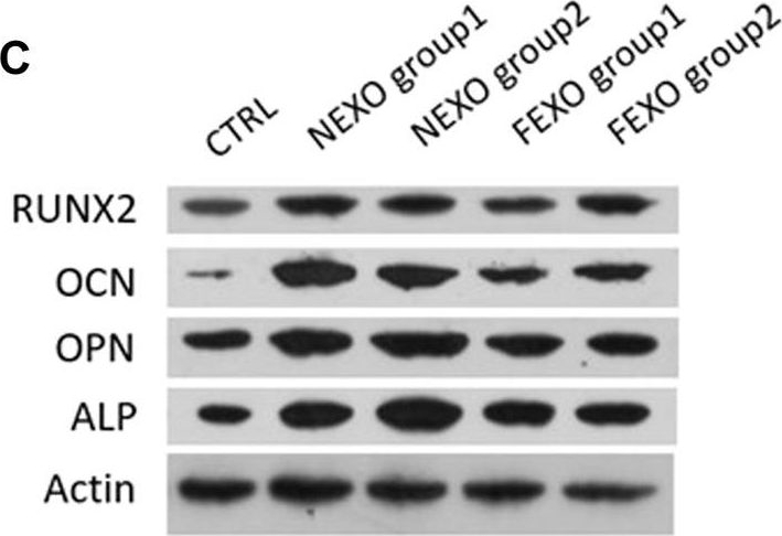 aSMA antibodies - Antibody search engine - CiteAb