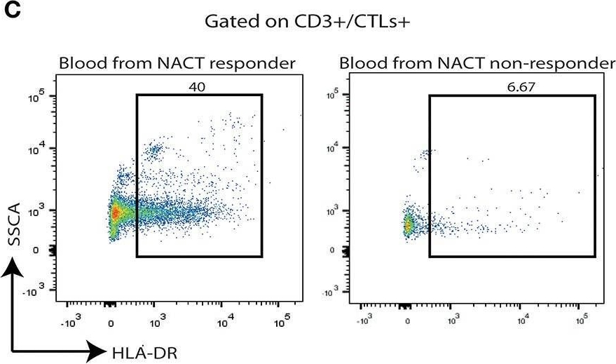 HLA-DR antibodies - Antibody search engine - CiteAb