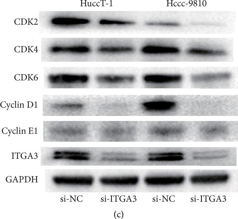 ITGA3 antibodies - Antibody search engine - CiteAb