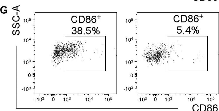 CD86 antibodies - Antibody search engine - CiteAb