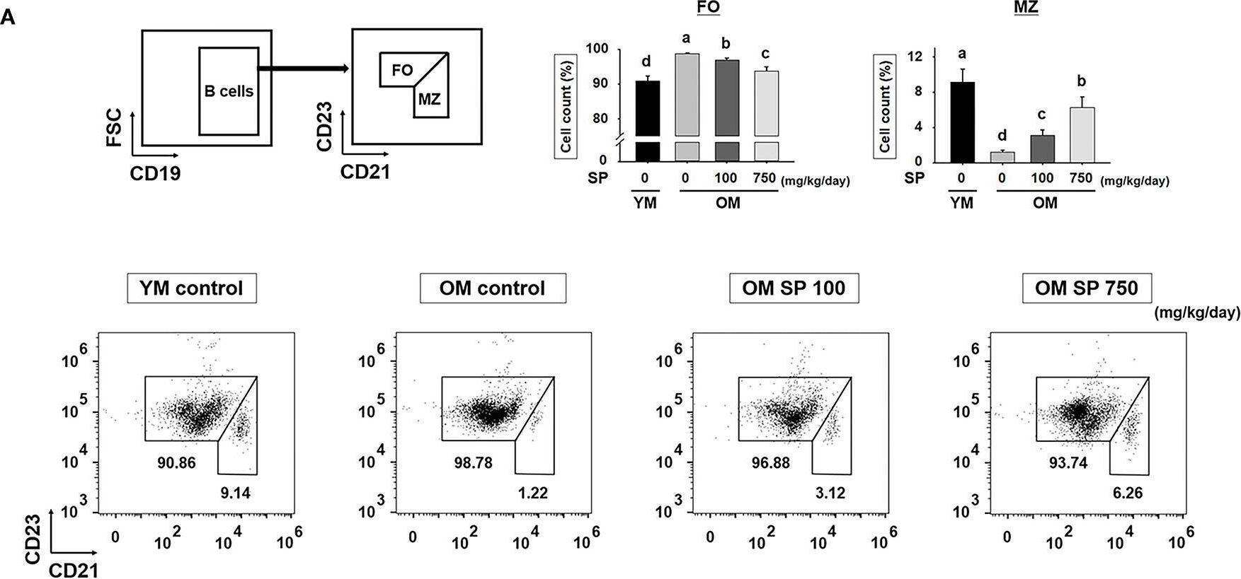 cd21 antibodies - Antibody search engine - CiteAb
