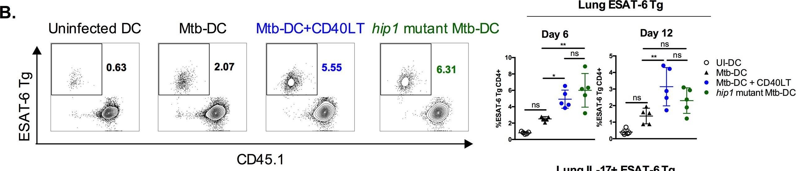 Cd40 Antibodies Antibody Search Engine Citeab