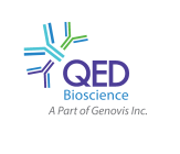 Custom Antibody Suppliers - CiteAb