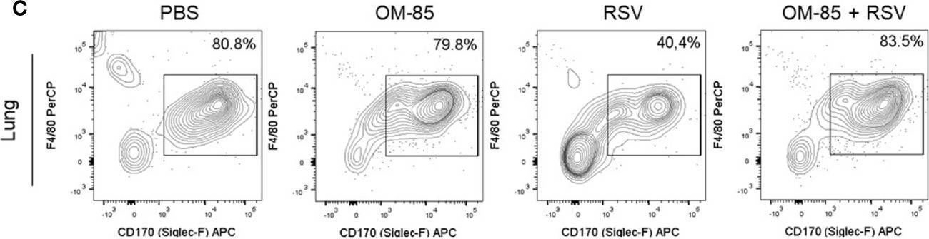 SiglecF antibodies - Antibody search engine - CiteAb