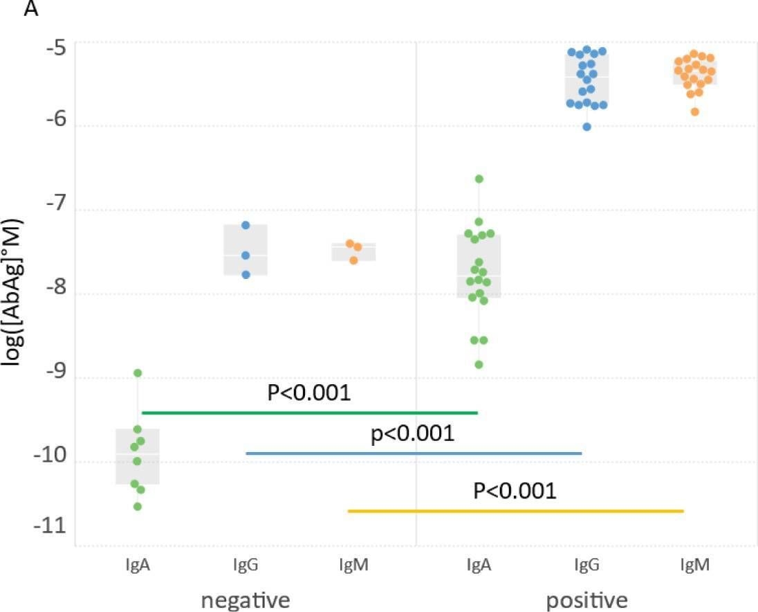 IgA antibodies - Antibody search engine - CiteAb