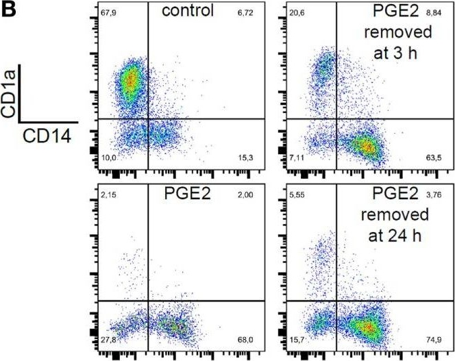 CD14 antibodies - Antibody search engine - CiteAb