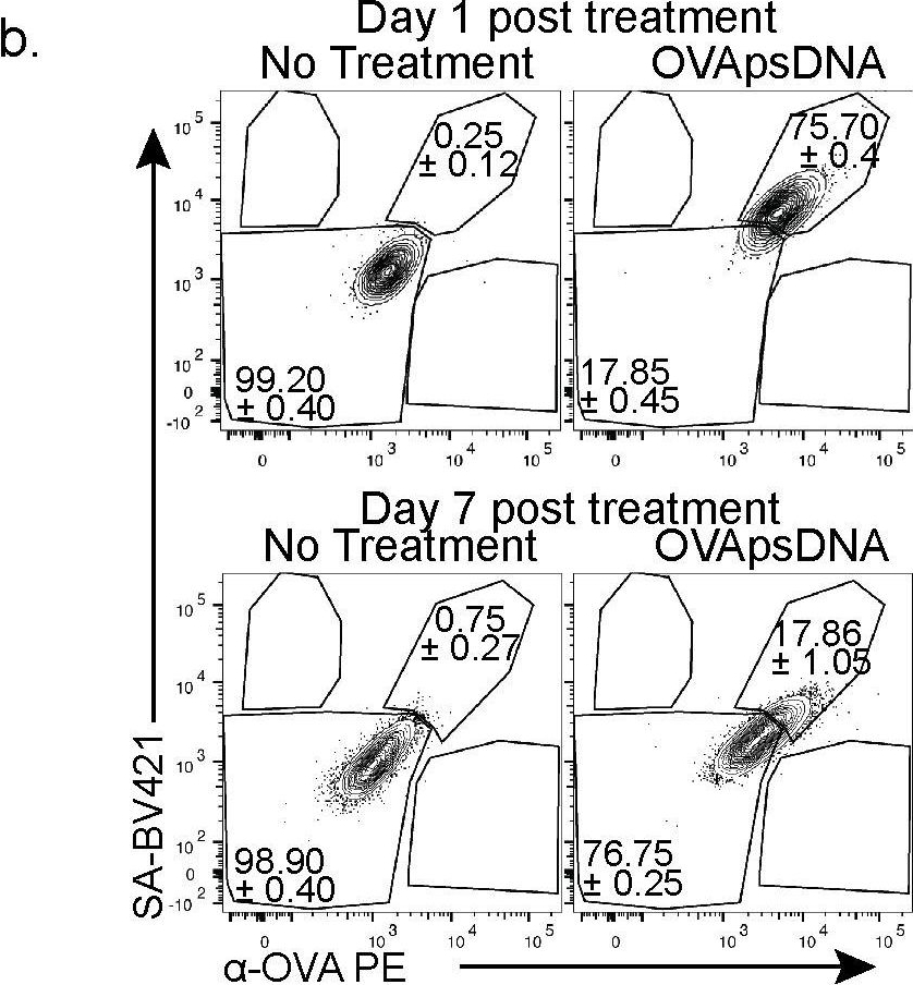 Ova antibodies - Antibody search engine - CiteAb