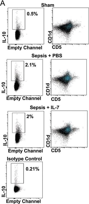 CD74 antibodies - Antibody search engine - CiteAb