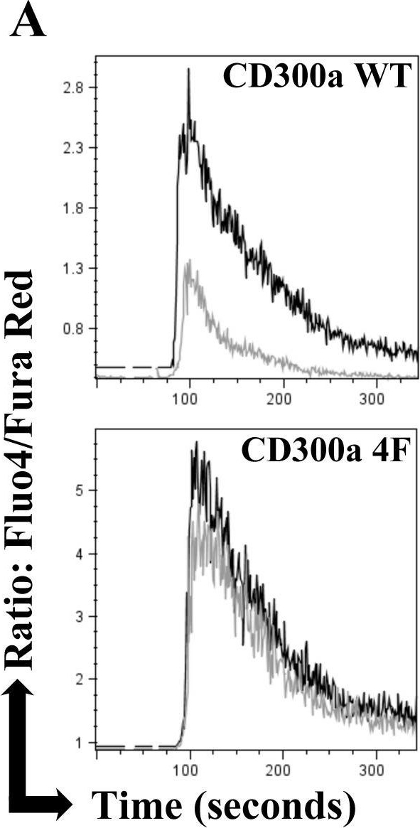 CD300A antibodies - Antibody search engine - CiteAb