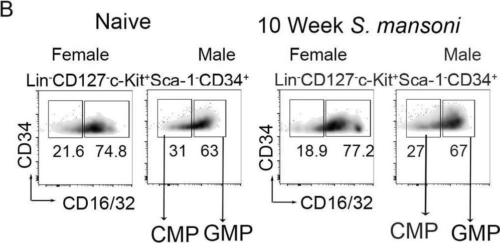 CD16 antibodies - Antibody search engine - CiteAb