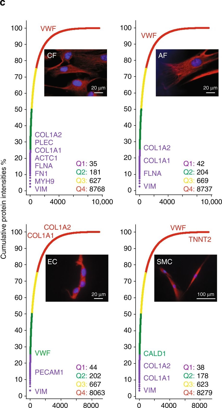 DDR2 antibodies - Antibody search engine - CiteAb