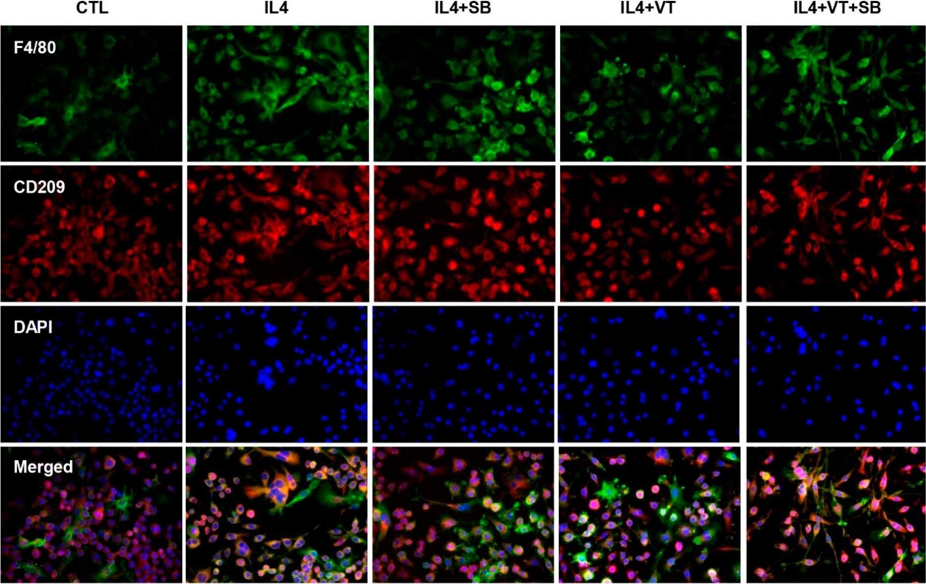 F4/80 antibodies - Antibody search engine - CiteAb