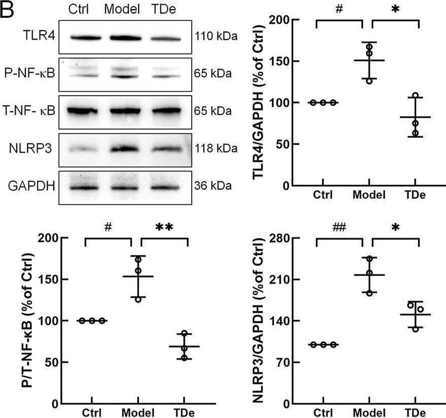 NLRP3 antibodies - Antibody search engine - CiteAb