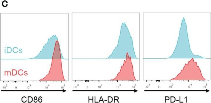 CD86 antibodies - Antibody search engine - CiteAb