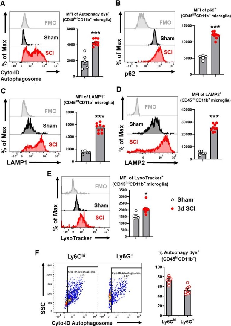 LAMP1 antibodies - Antibody search engine - CiteAb