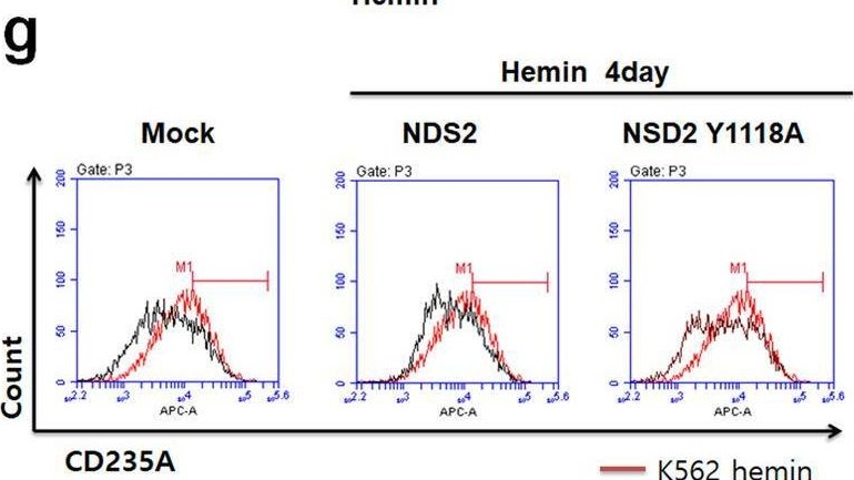 CD235A antibodies - Antibody search engine - CiteAb