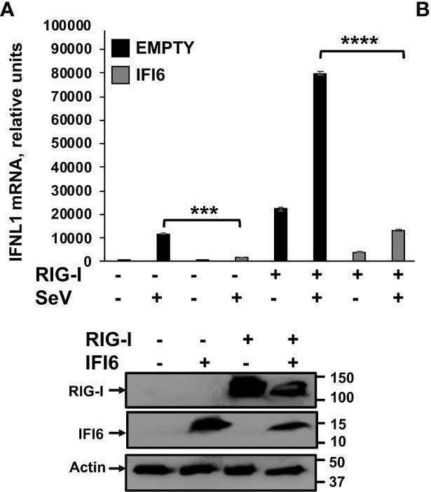 IFI6 antibodies - Antibody search engine - CiteAb