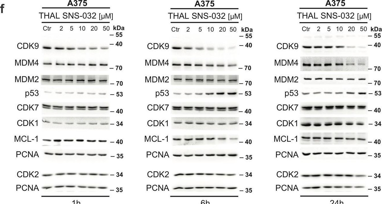 Clec4d antibodies - Antibody search engine - CiteAb