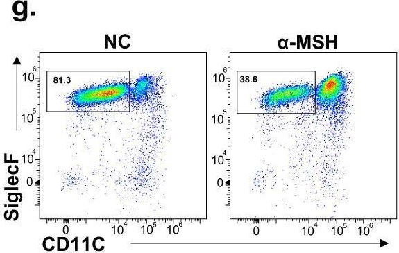SiglecF antibodies - Antibody search engine - CiteAb