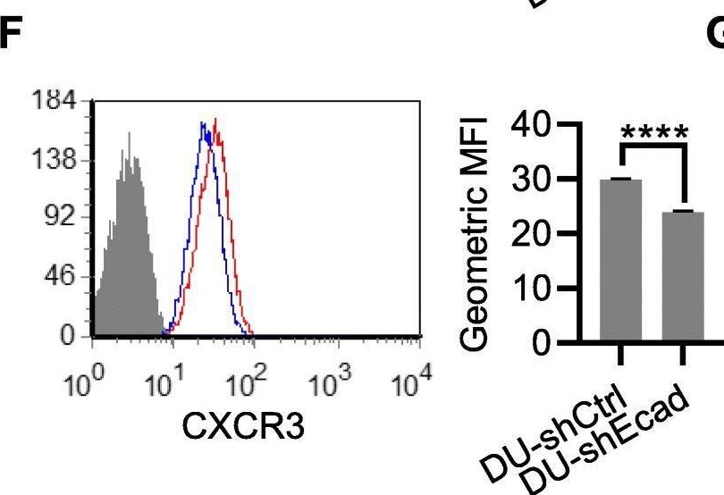 Cxcr3 antibodies - Antibody search engine - CiteAb