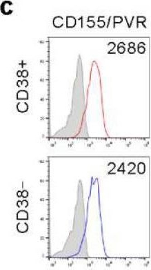 cd155 antibodies - Antibody search engine - CiteAb