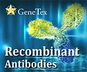 (GTX118359) Mig-2 antibody - GeneTex - CiteAb