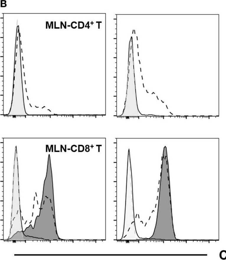 Cxcr3 antibodies - Antibody search engine - CiteAb